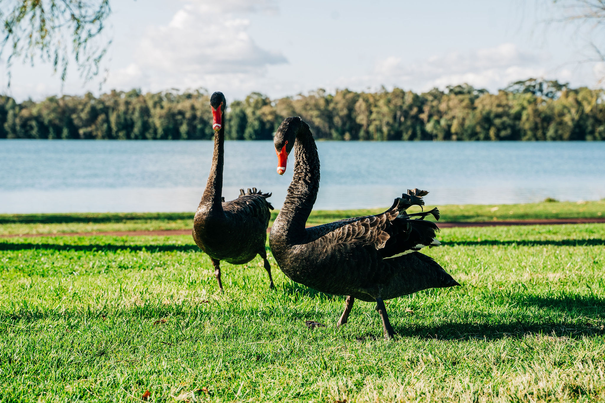 Westbridge Subiaco Fund - Westbridge Funds Management